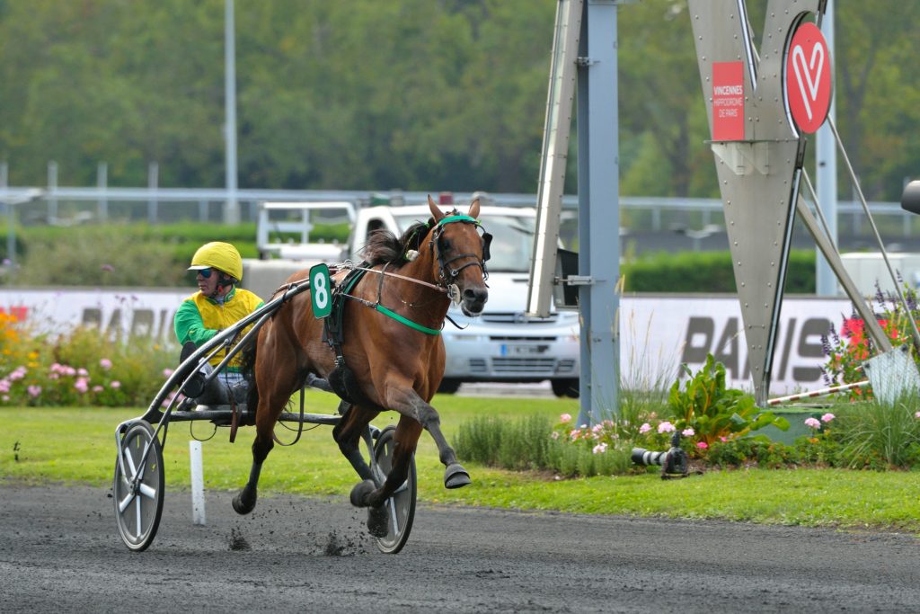 Critérium Continental : ultime test pour Face Time Bourbon - Prix d ...