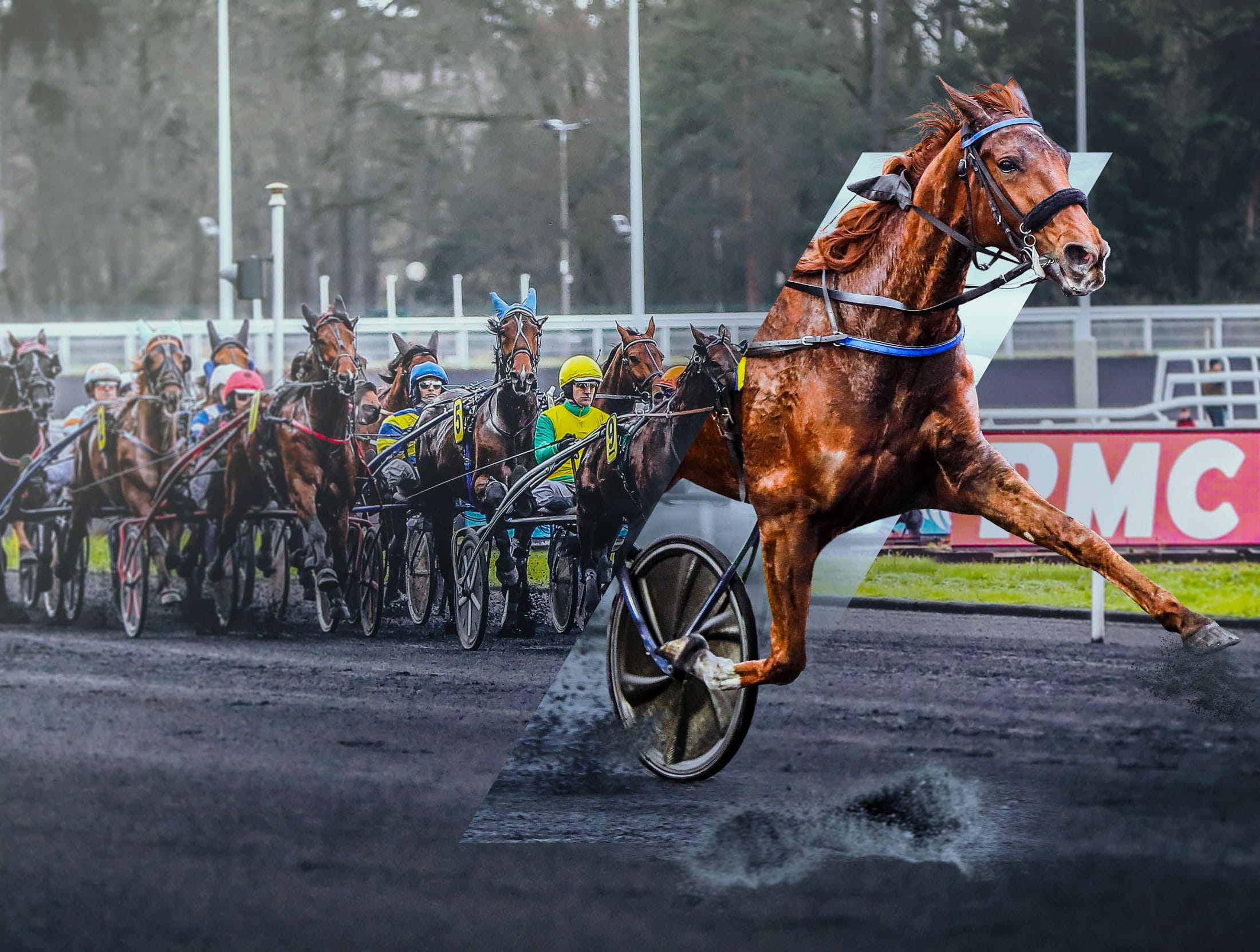 Prix d’Amérique Races ZEturf qualif #6