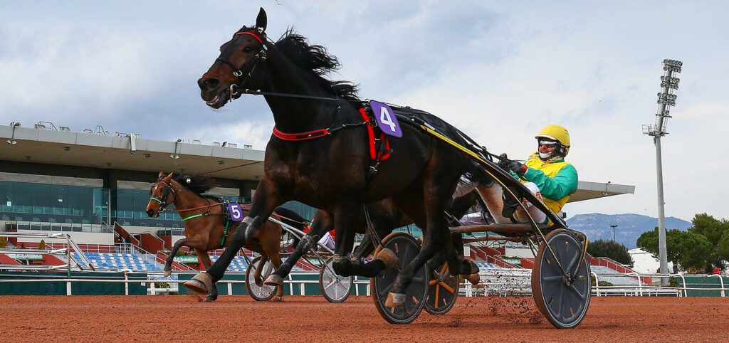Stars of Prix d'Amérique Races run in Cagnes-sur-Mer - Prix d'Amérique ...